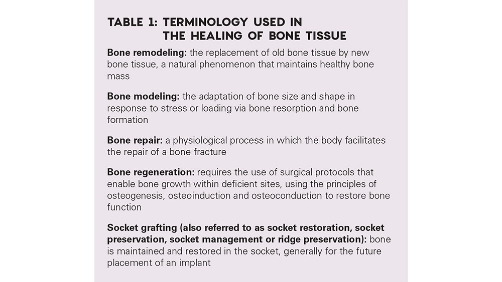 Extraction and Socket Grafting: Part 2 — Extraction Site Healing