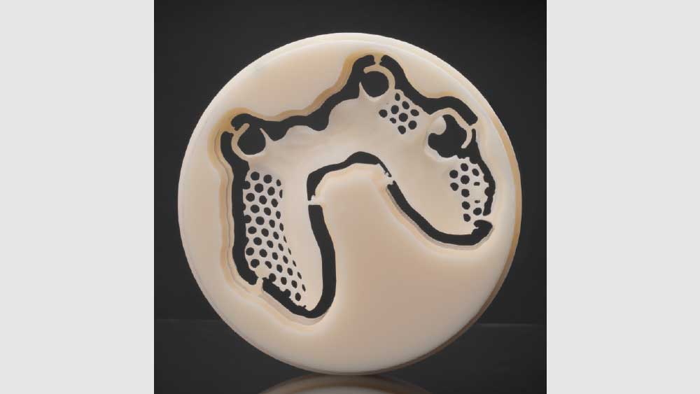 Milled Acetal Partial Dentures: A Clinical Case Report Exploring a New ...