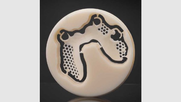 Milled Acetal Partial Dentures: A Clinical Case Report Exploring a New ...