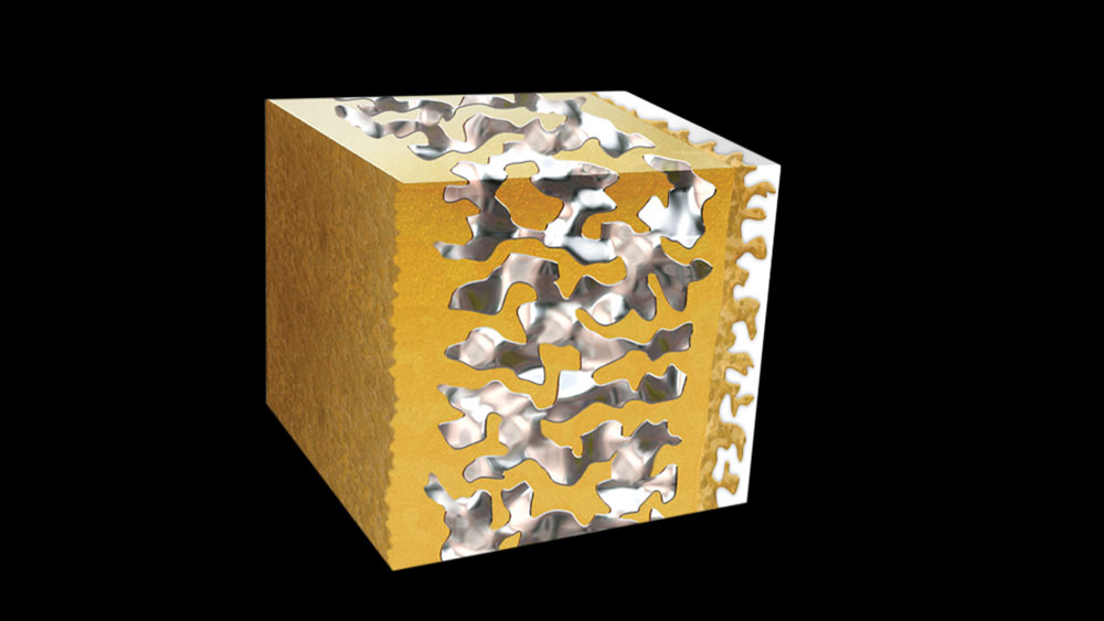 Captek Bridge & Implant™ Expands Clinical Indications