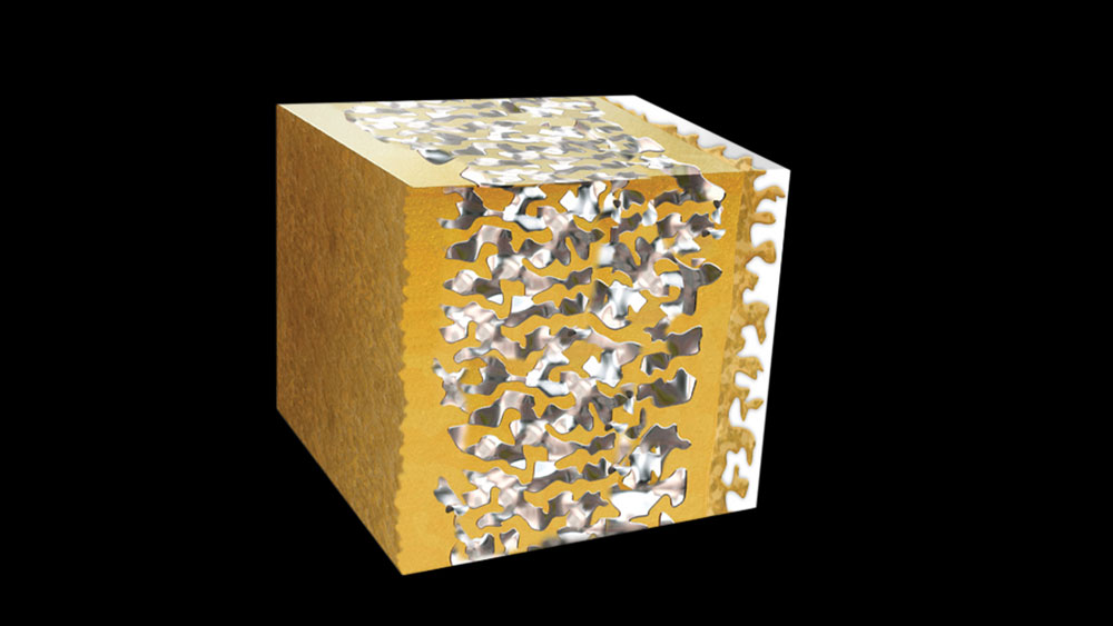 Captek Bridge & Implant™ Expands Clinical Indications