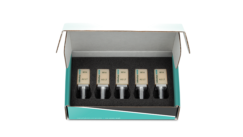 CAMouflage NOW for Inlays, Onlays, Veneers, Dental Crowns